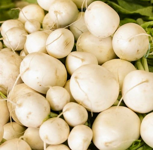 Turnip Hakurei - 20lb Case – Bradford Farm