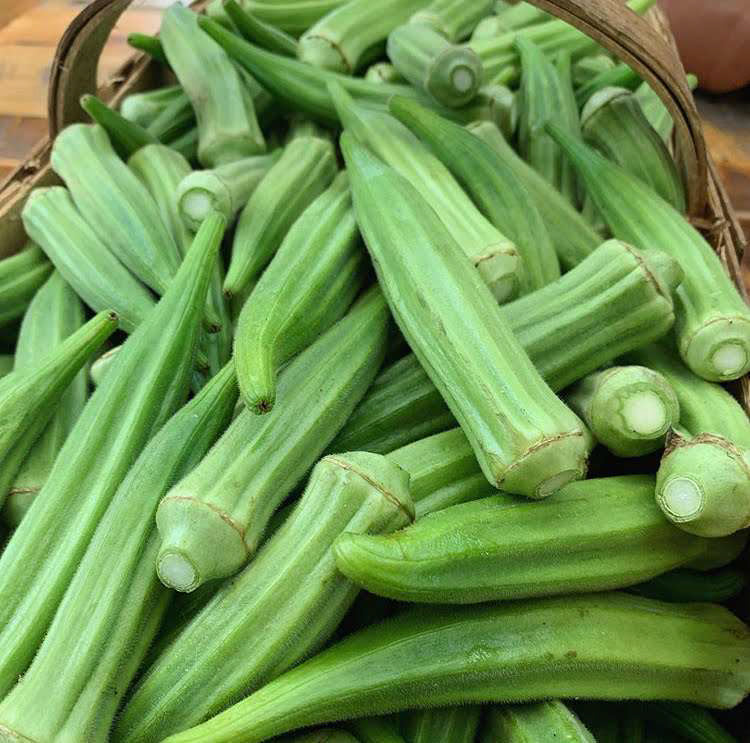 Okra, Bradford - 10lb Case – Bradford Farm
