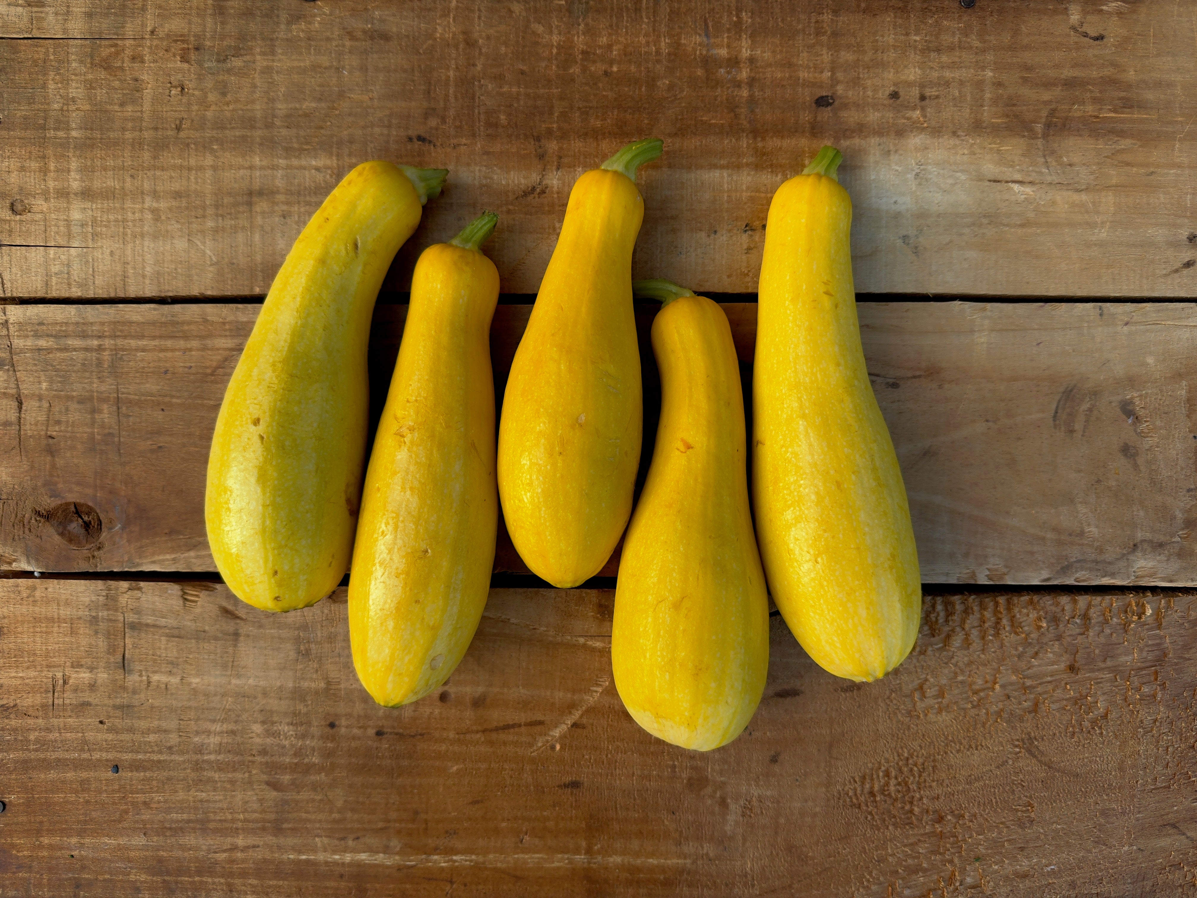 Squash, Yellow - Half Case – Bradford Farm